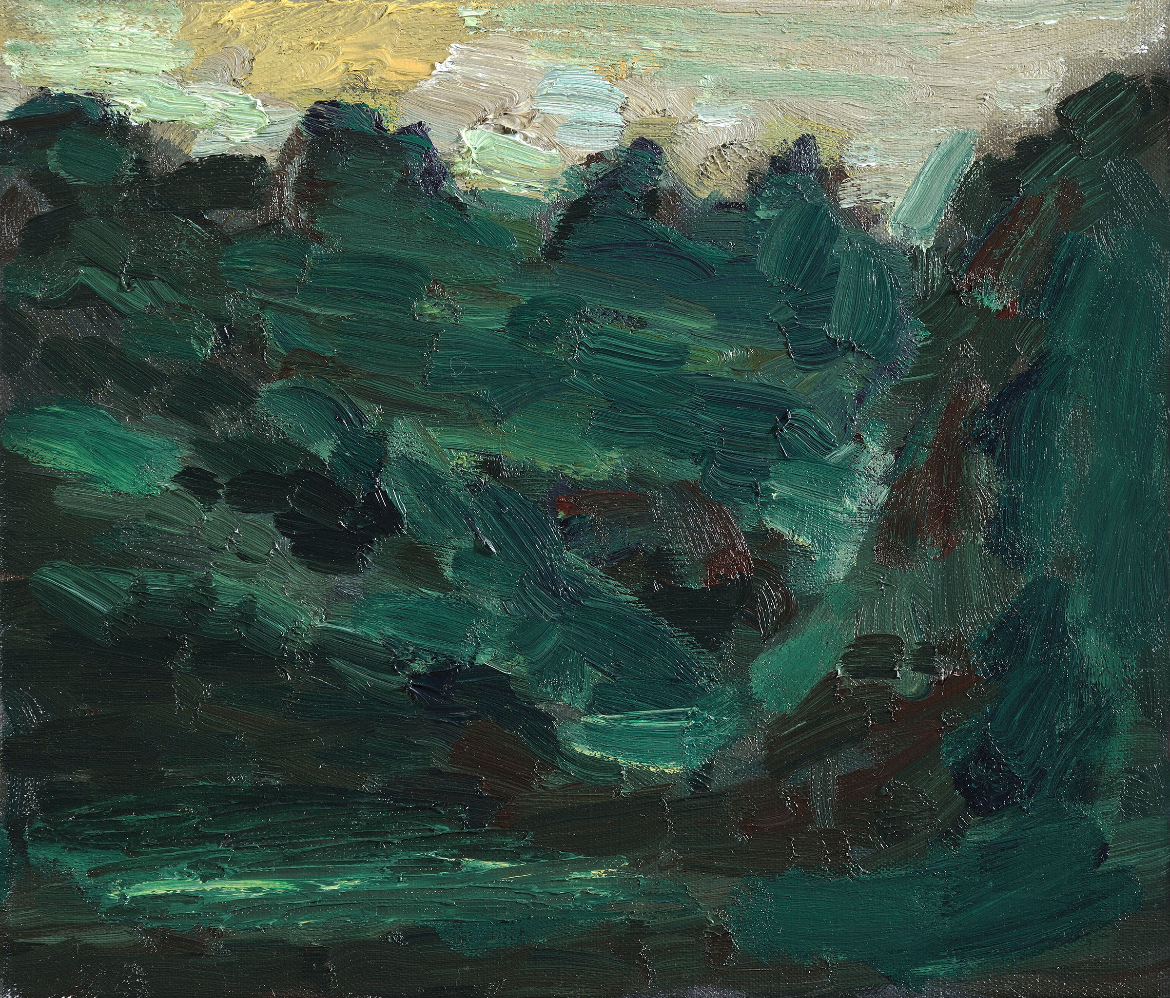 landscape - thomas newbolt